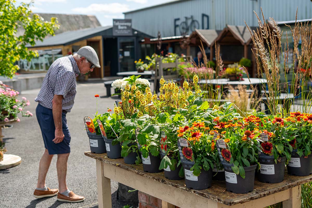 Sage & Stone – Sage & Stone